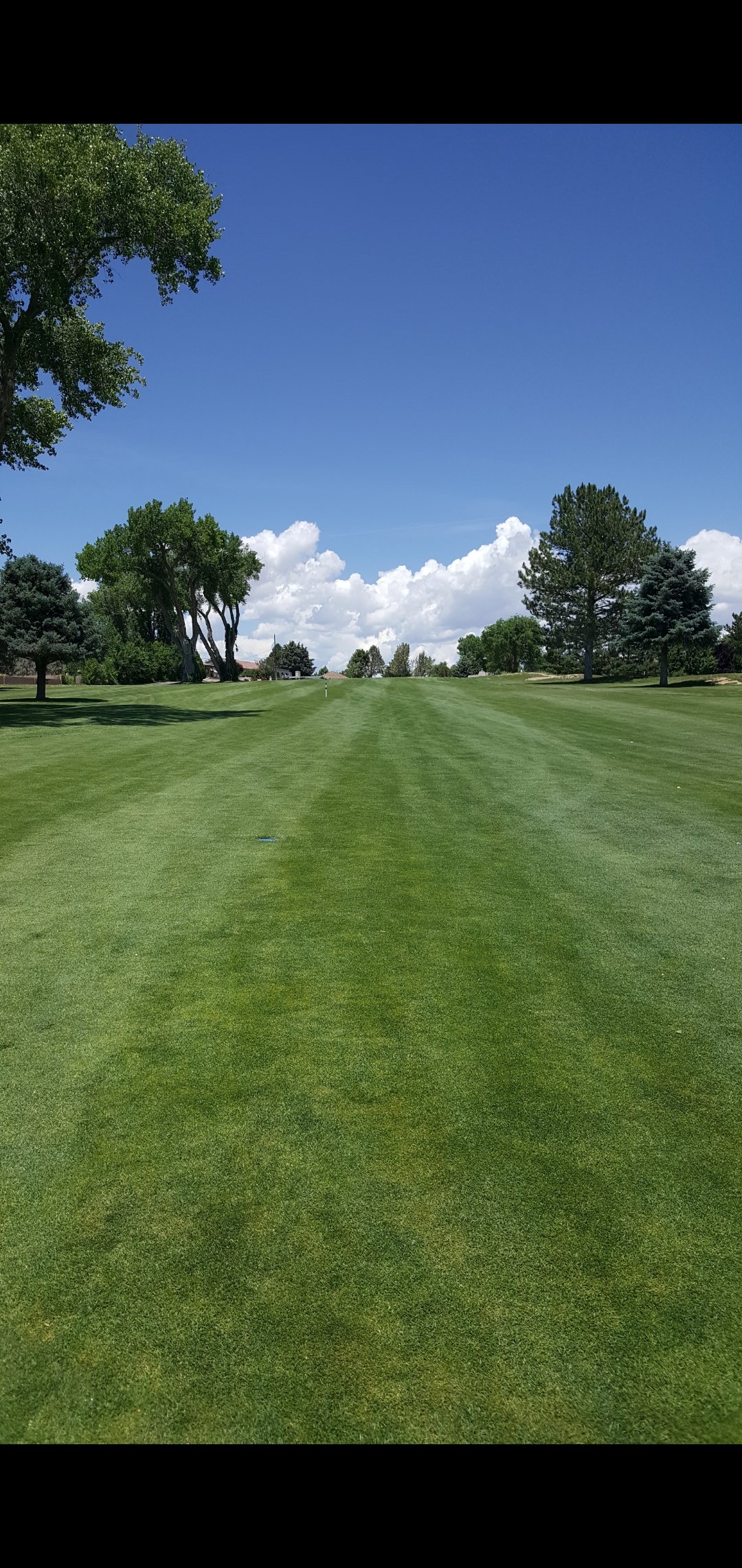 mercergolfacademy.com